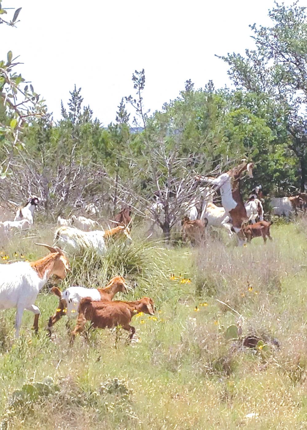 FARM SHOW Magazine - The BEST stories about Made-It-Myself Shop ...