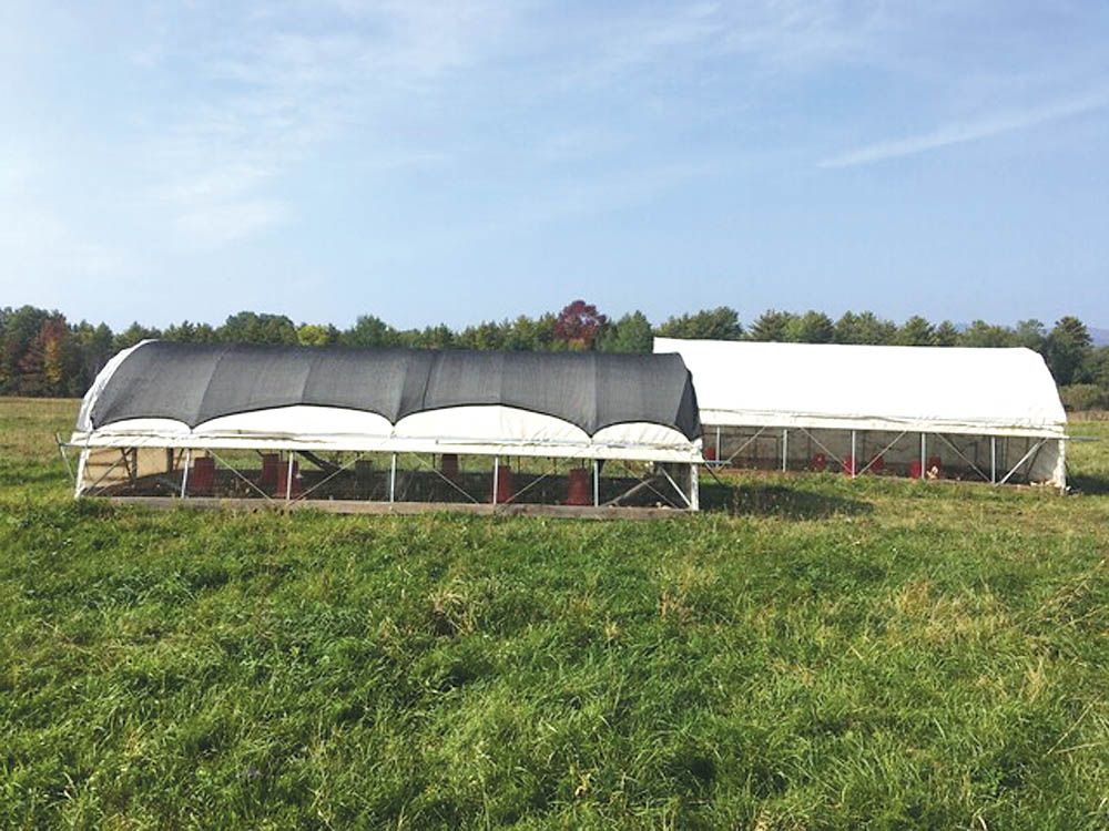 FARM SHOW Magazine - The BEST stories about Made-It-Myself Shop ...