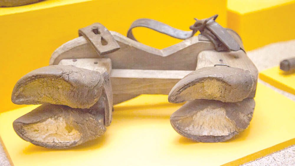 FARM SHOW Magazine - The BEST stories about Made-It-Myself Shop ...