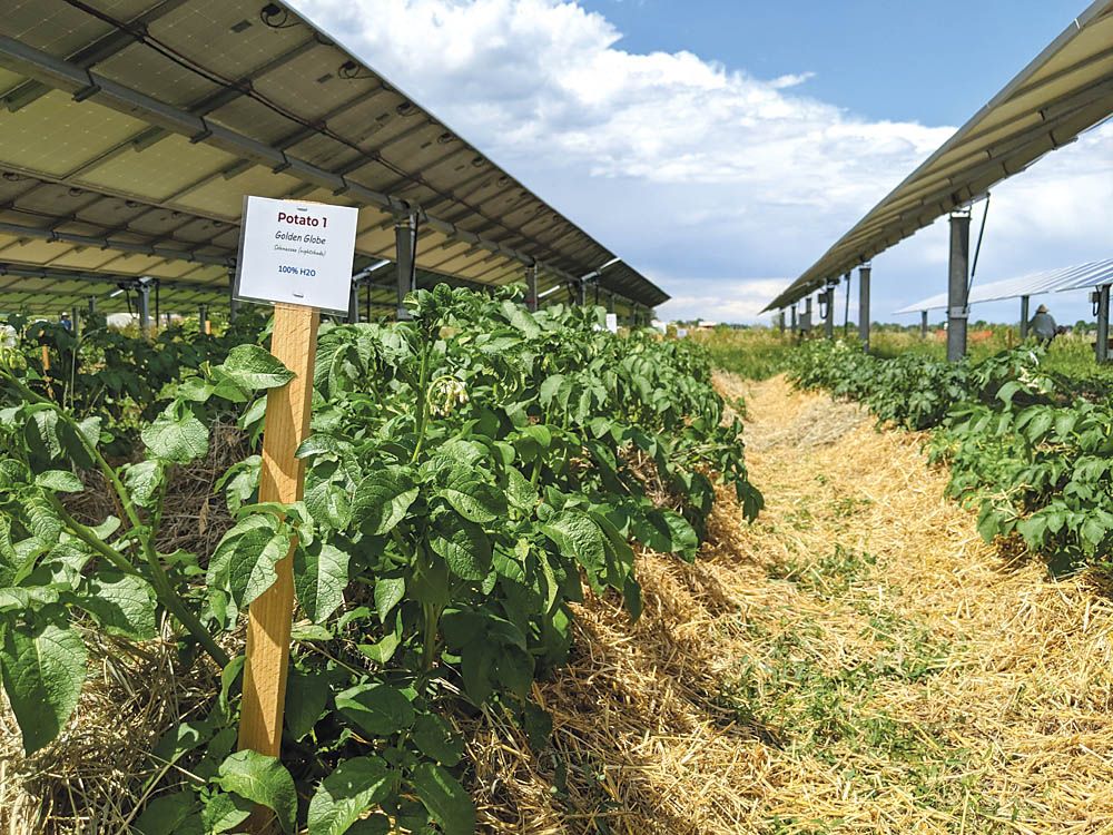 FARM SHOW Magazine - The BEST stories about Made-It-Myself Shop ...