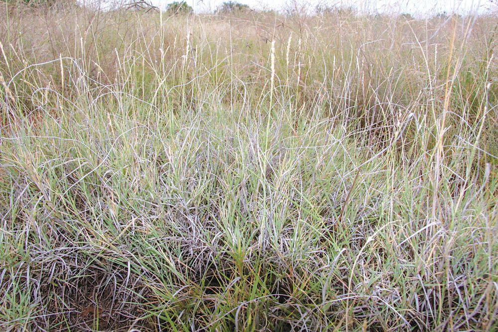 FARM SHOW Magazine - The BEST stories about Made-It-Myself Shop ...