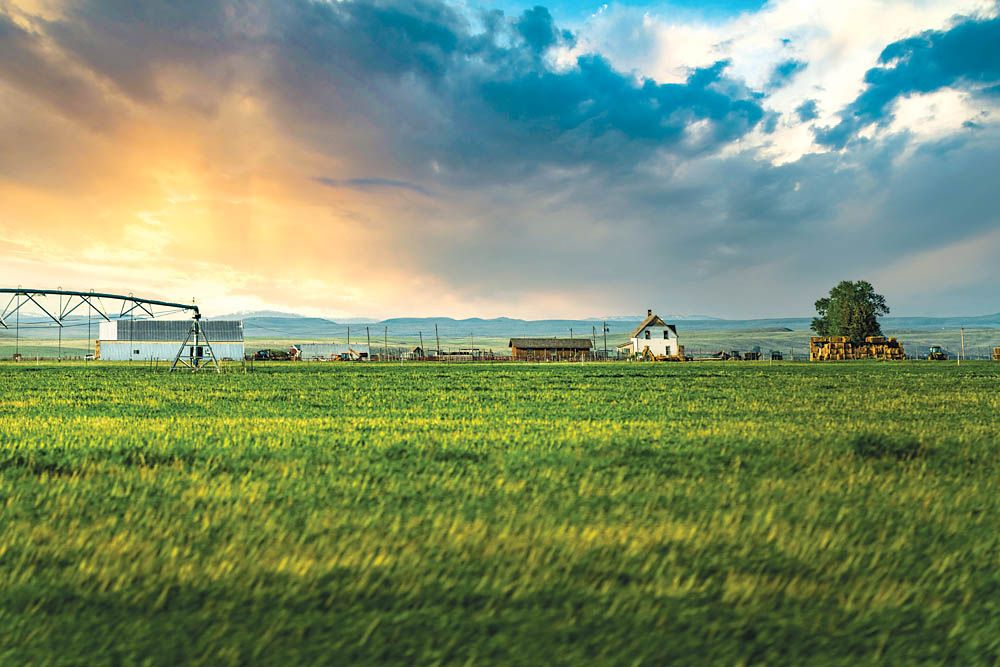 FARM SHOW Magazine - The BEST stories about Made-It-Myself Shop ...