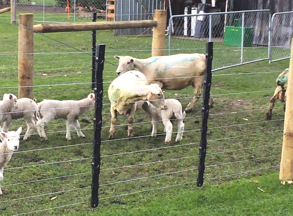 FARM SHOW Magazine - The BEST stories about Made-It-Myself Shop ...