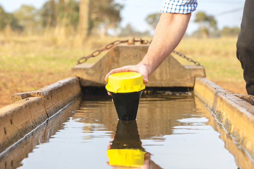 FARM SHOW Magazine - The BEST stories about Made-It-Myself Shop ...