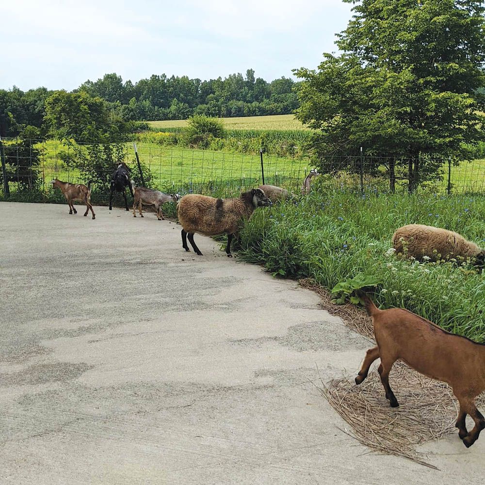 FARM SHOW Magazine - The BEST stories about Made-It-Myself Shop ...