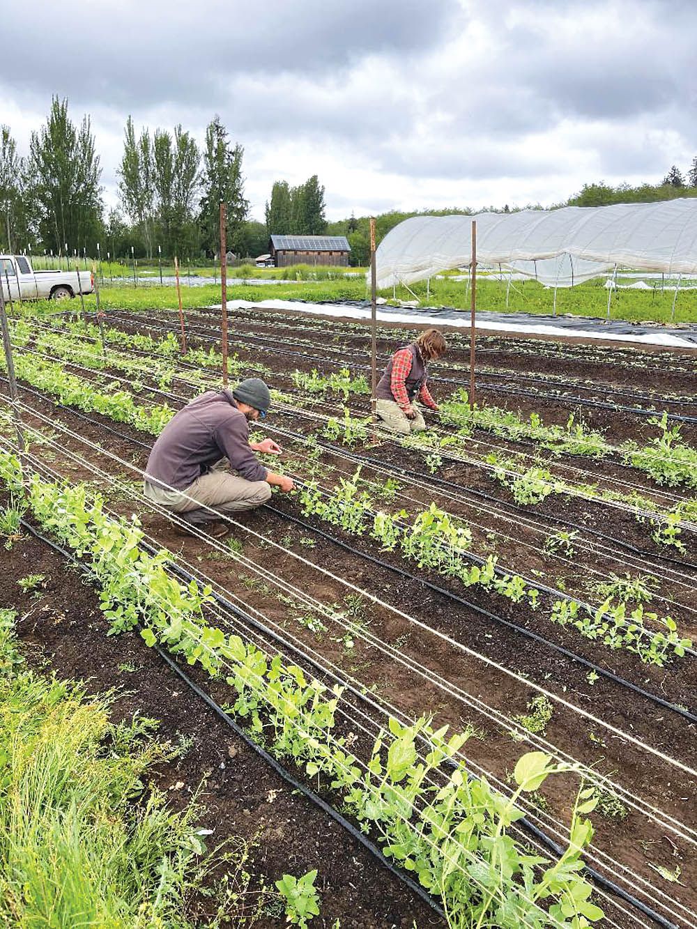 FARM SHOW Magazine - The BEST stories about Made-It-Myself Shop ...