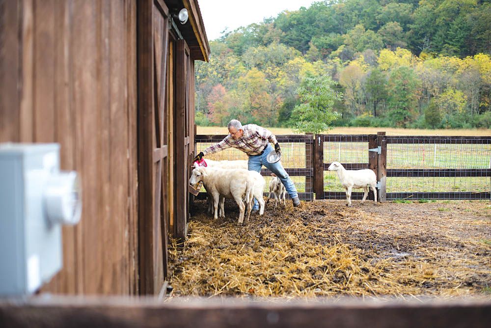 FARM SHOW Magazine - The BEST stories about Made-It-Myself Shop ...