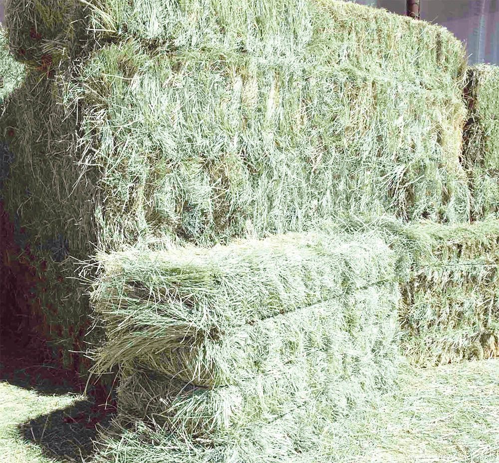 FARM SHOW Magazine - The BEST stories about Made-It-Myself Shop ...