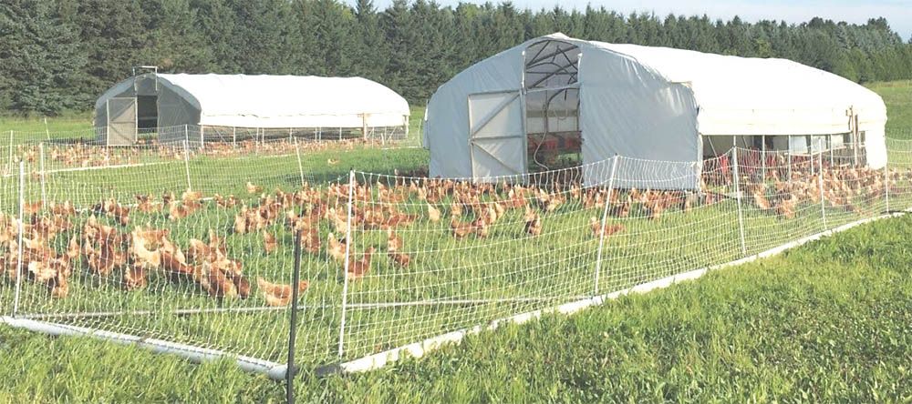 FARM SHOW Magazine - The BEST stories about Made-It-Myself Shop ...