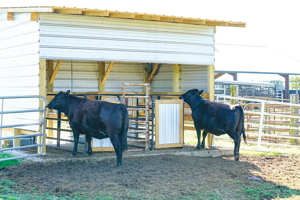 FARM SHOW Magazine - The BEST stories about Made-It-Myself Shop ...