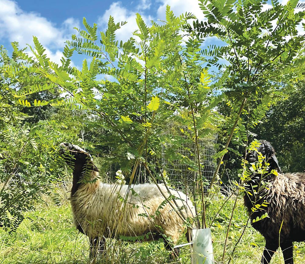 FARM SHOW Magazine - The BEST stories about Made-It-Myself Shop ...