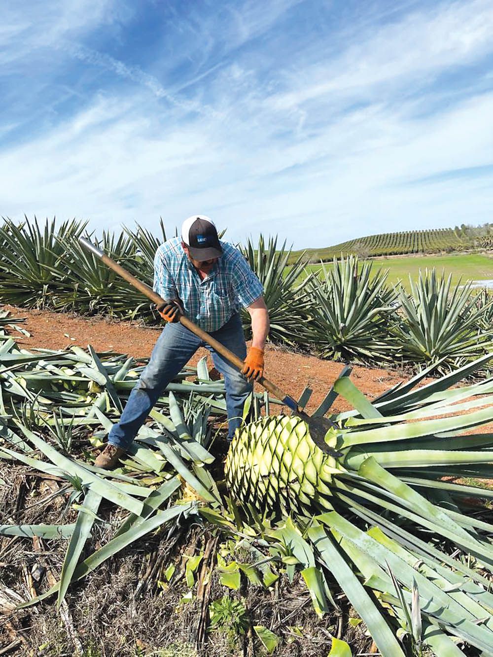 FARM SHOW Magazine - The BEST stories about Made-It-Myself Shop ...