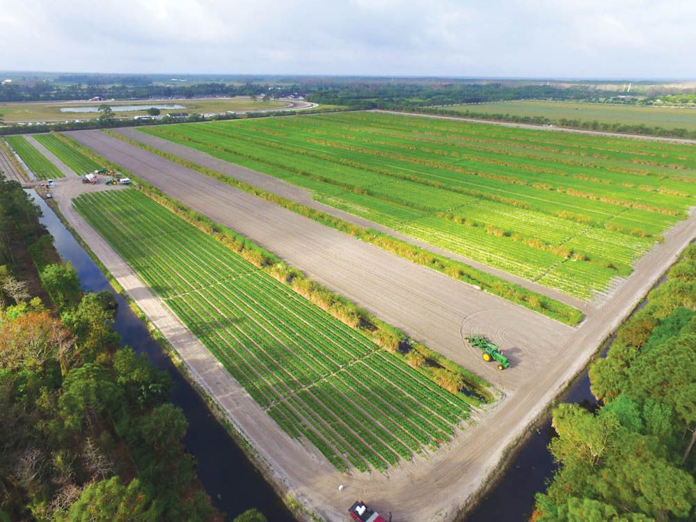 FARM SHOW Magazine - The BEST stories about Made-It-Myself Shop ...