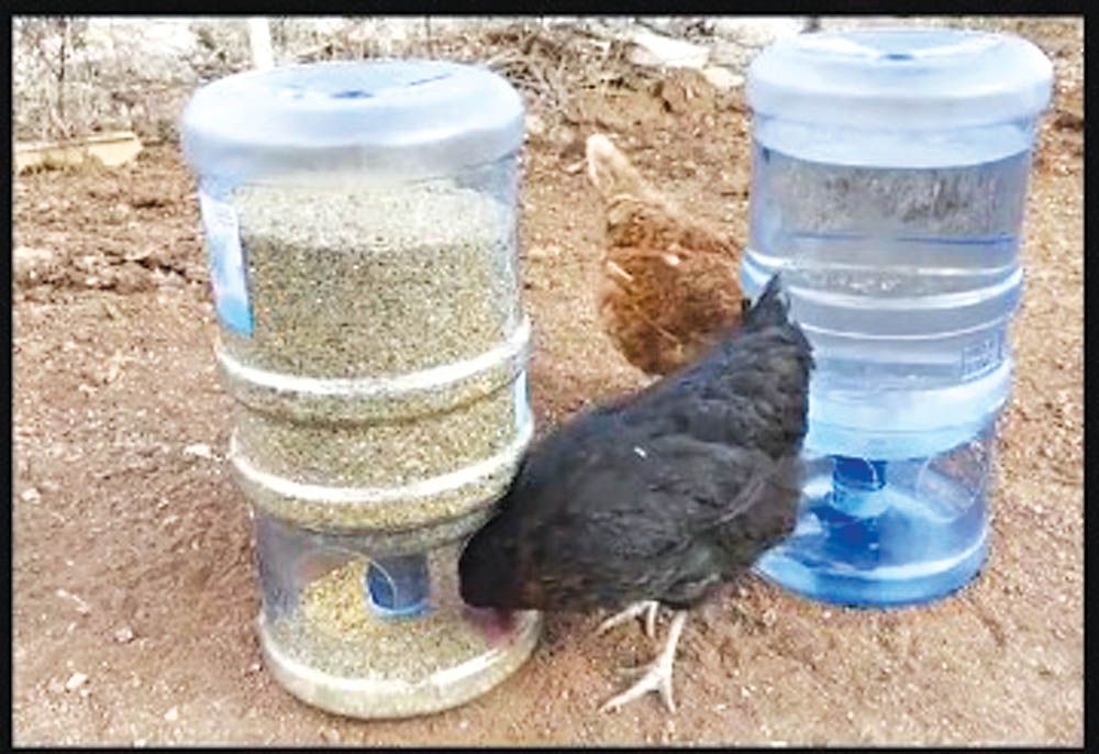 Chicken Water Container 4PACK Plastic Poultry Drinker Chick Waterer