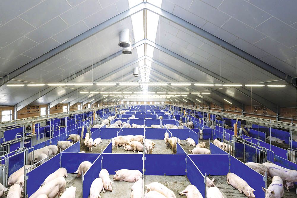 FARM SHOW Magazine - The BEST stories about Made-It-Myself Shop ...