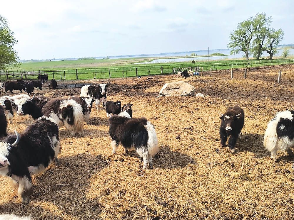 FARM SHOW Magazine - The BEST stories about Made-It-Myself Shop ...