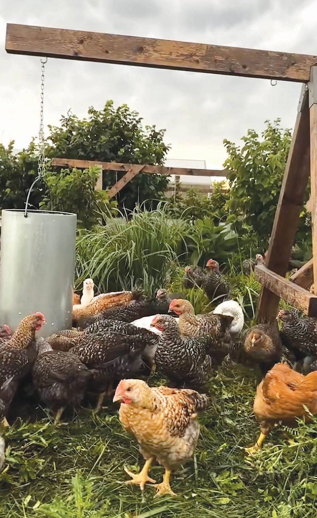 FARM SHOW Magazine - The BEST stories about Made-It-Myself Shop ...