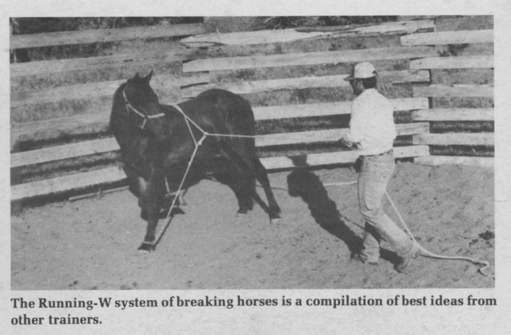 FARM SHOW Magazine - The BEST stories about Made-It-Myself Shop ...