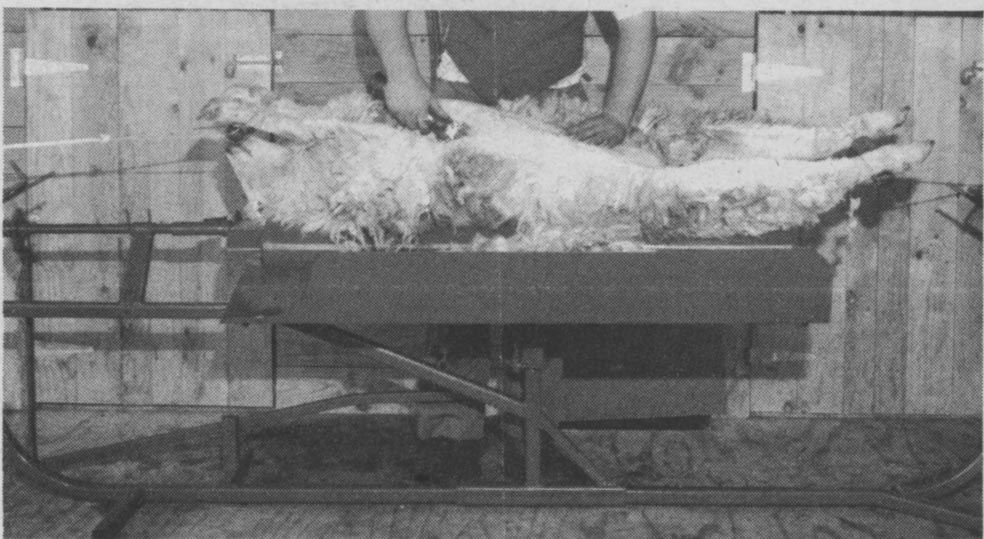 FARM SHOW Magazine - The BEST stories about Made-It-Myself Shop ...