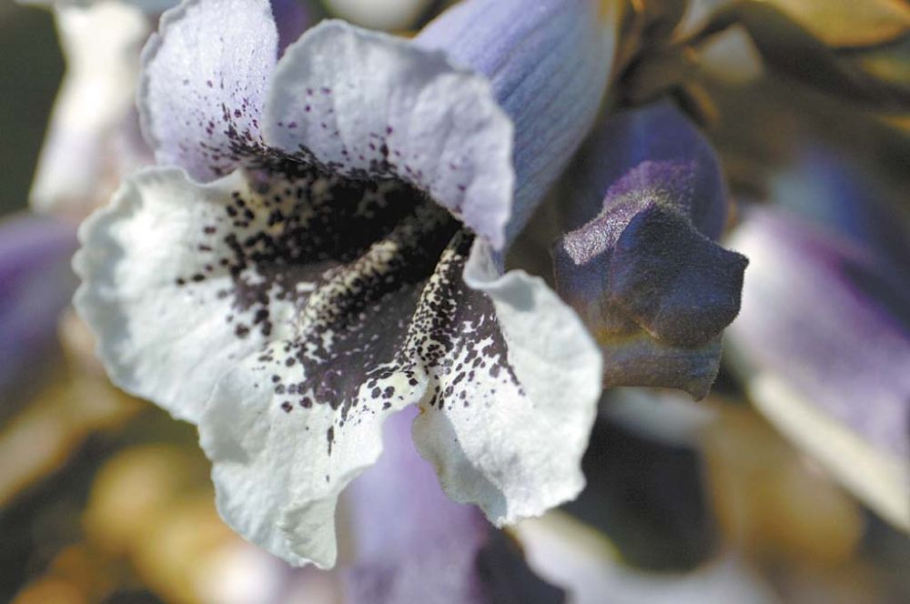 FARM SHOW Magazine - The BEST stories about Made-It-Myself Shop ...