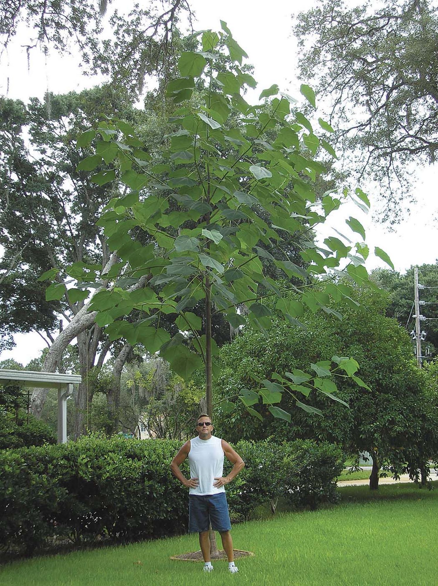 FARM SHOW Magazine - The BEST stories about Made-It-Myself Shop ...