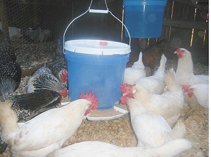 FARM SHOW Magazine - The BEST stories about Made-It-Myself Shop ...