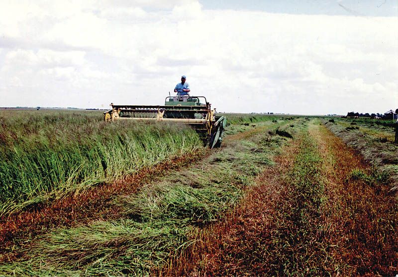 FARM SHOW Magazine - The BEST stories about Made-It-Myself Shop ...