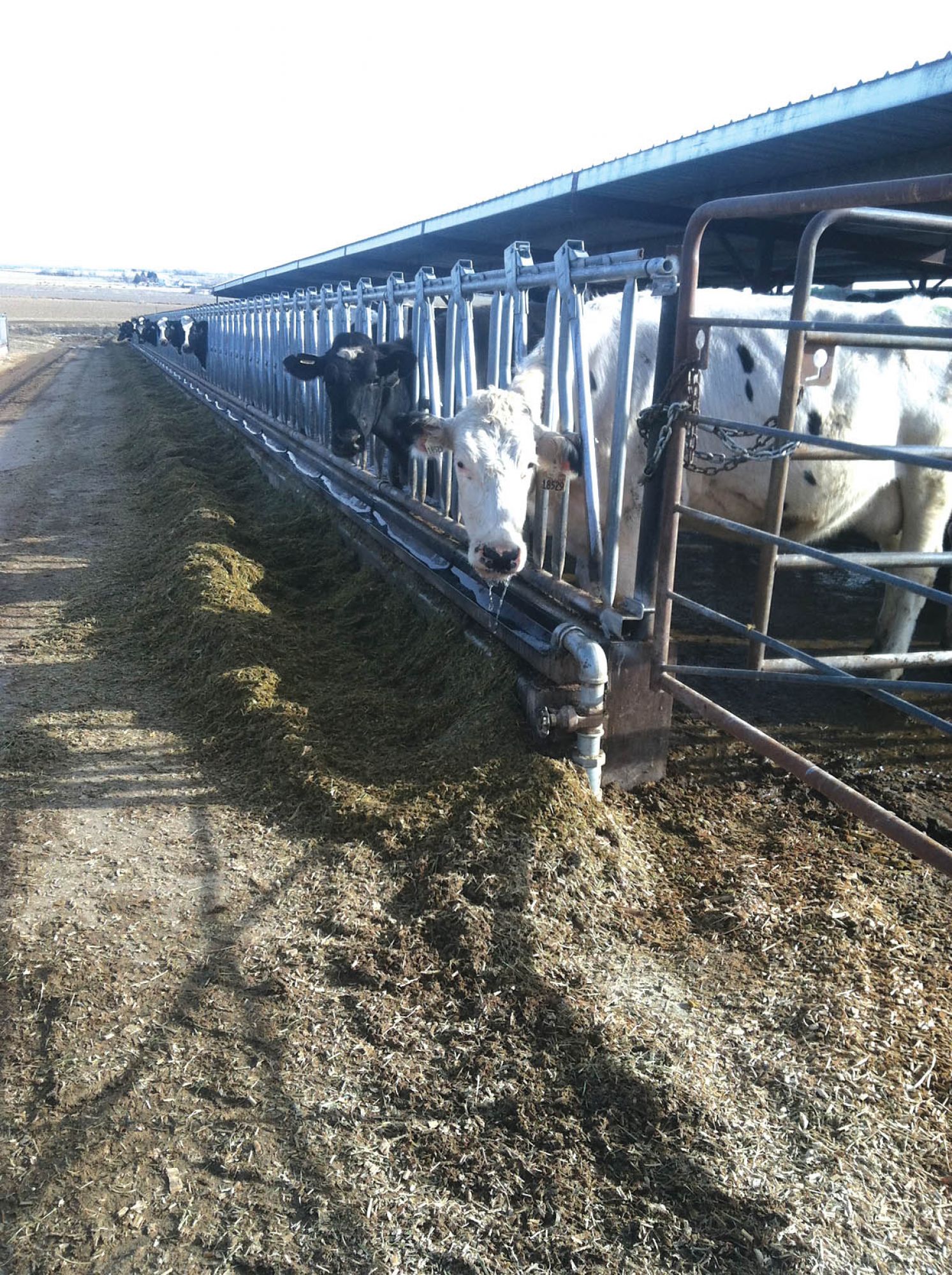 FARM SHOW Magazine - The BEST stories about Made-It-Myself Shop ...