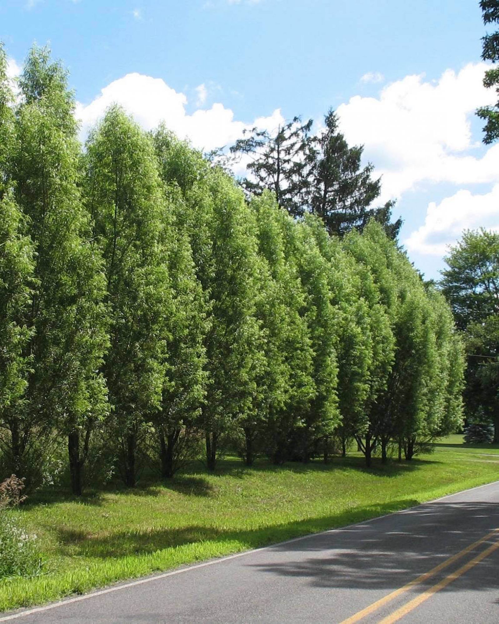 FARM SHOW Magazine - The BEST stories about Made-It-Myself Shop ...