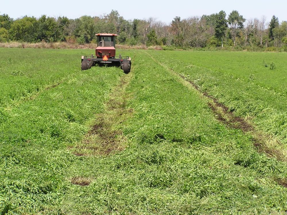 FARM SHOW Magazine - The BEST stories about Made-It-Myself Shop ...